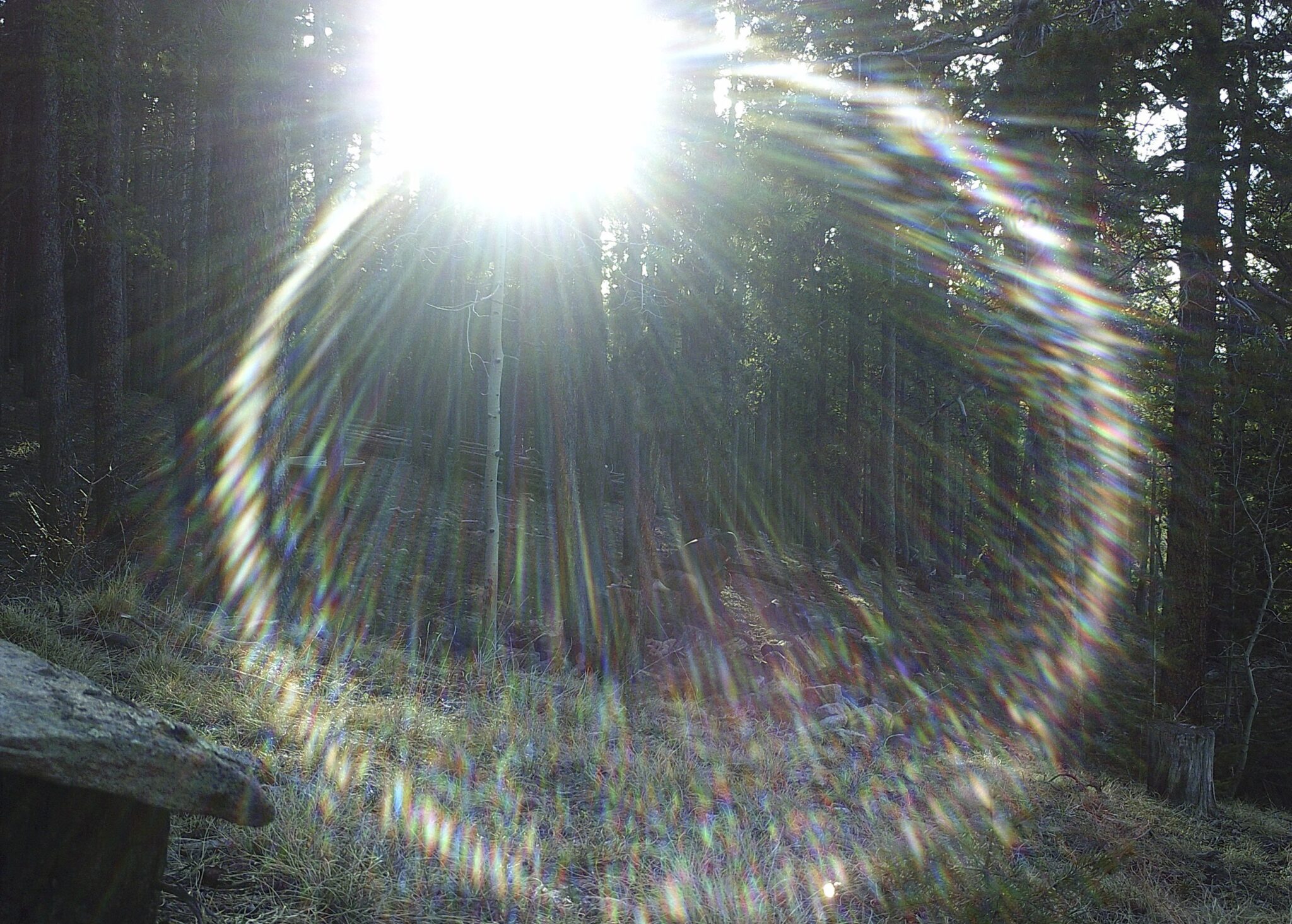 Stray Light Examples | Imatest